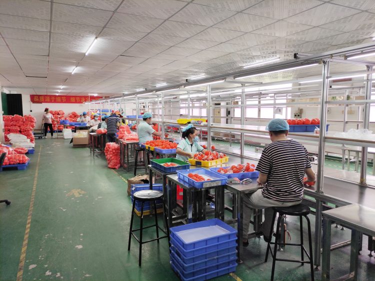 Action figure factory | Fuson Industry-Action figures OEM